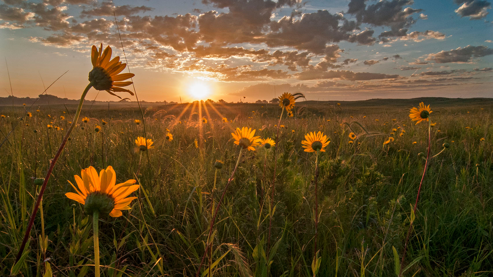 prairie sunset – Laura Lee